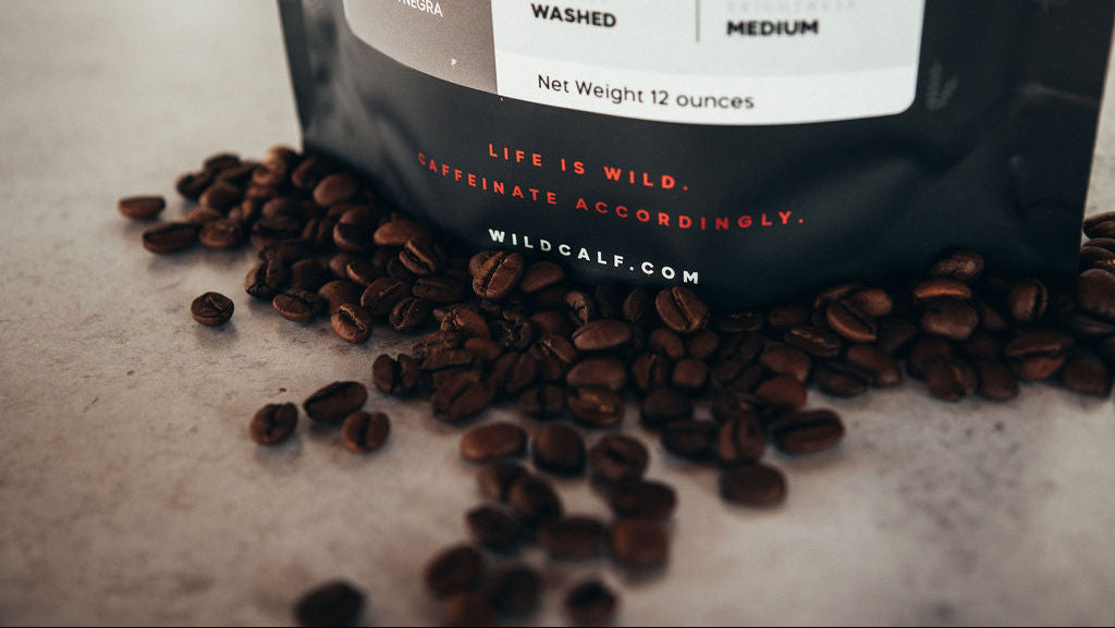 Wild Calf Coffee | Fresh, Small-Batch Roasted Coffee Delivered Fast